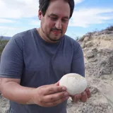 147萬人注意！0056配息下調至0.866元 法人：回歸理性配息策略 | 中天新聞網